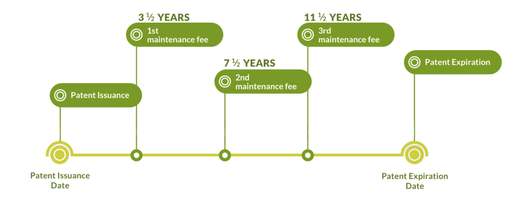 Patent Lifecycle Patent Prosecution Process: Patent management and ...